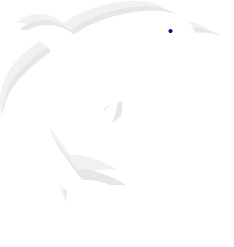 clever_icon | Nimble EvolutionNimble Evolution