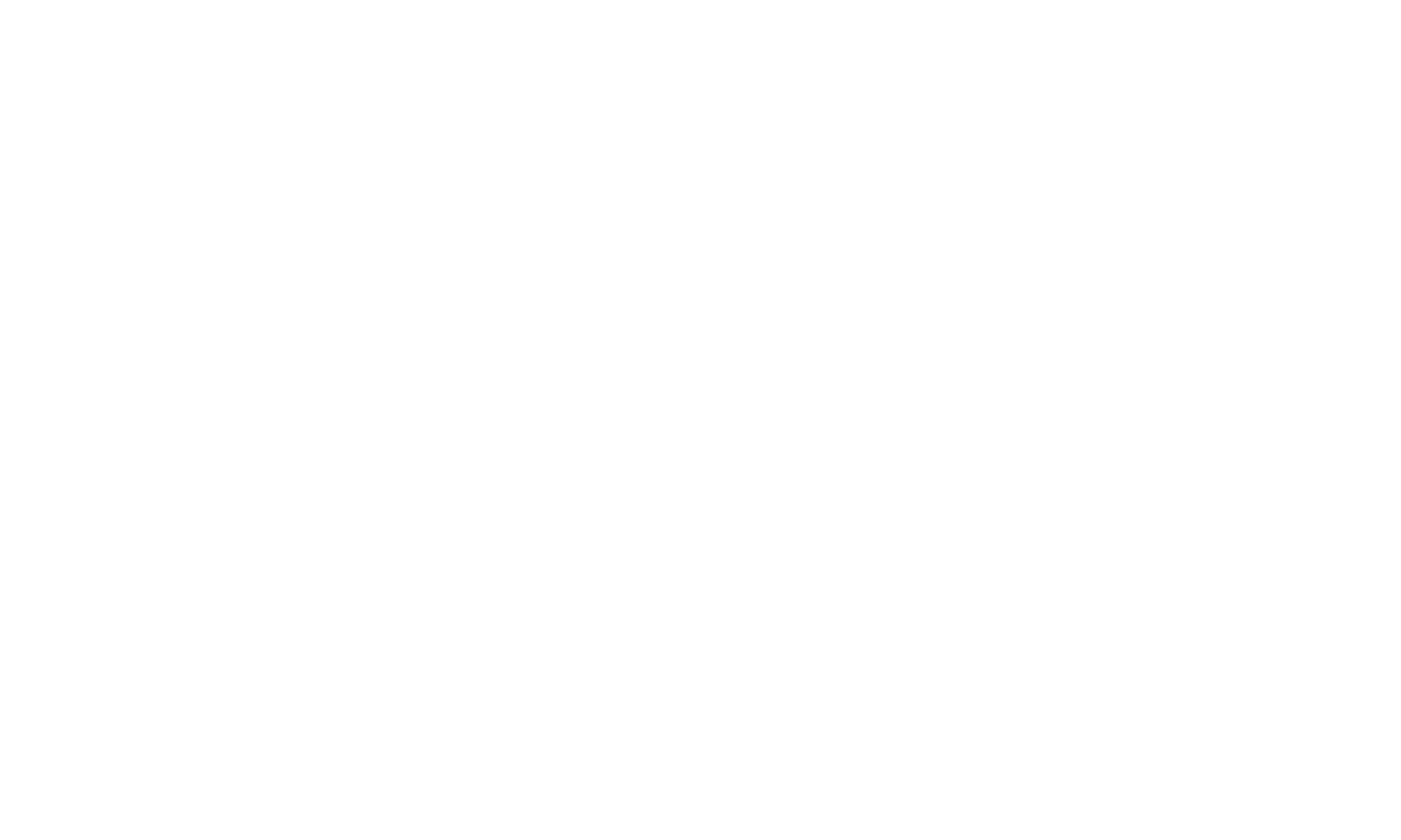 white_logo_transparent_background | Nimble EvolutionNimble Evolution