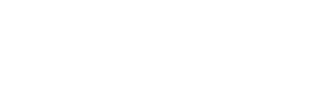 intro-logo | Nimble EvolutionNimble Evolution