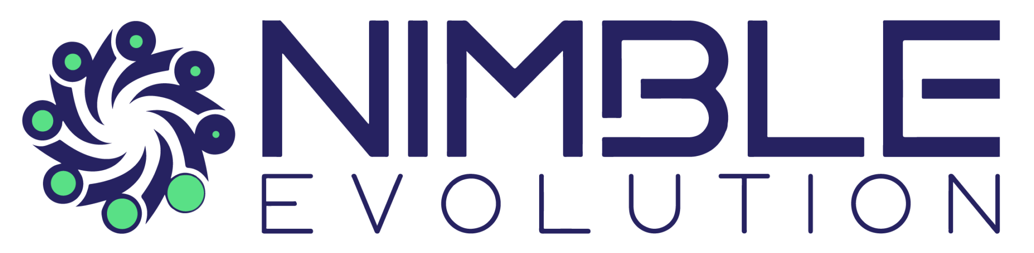 NE1 | Nimble EvolutionNimble Evolution